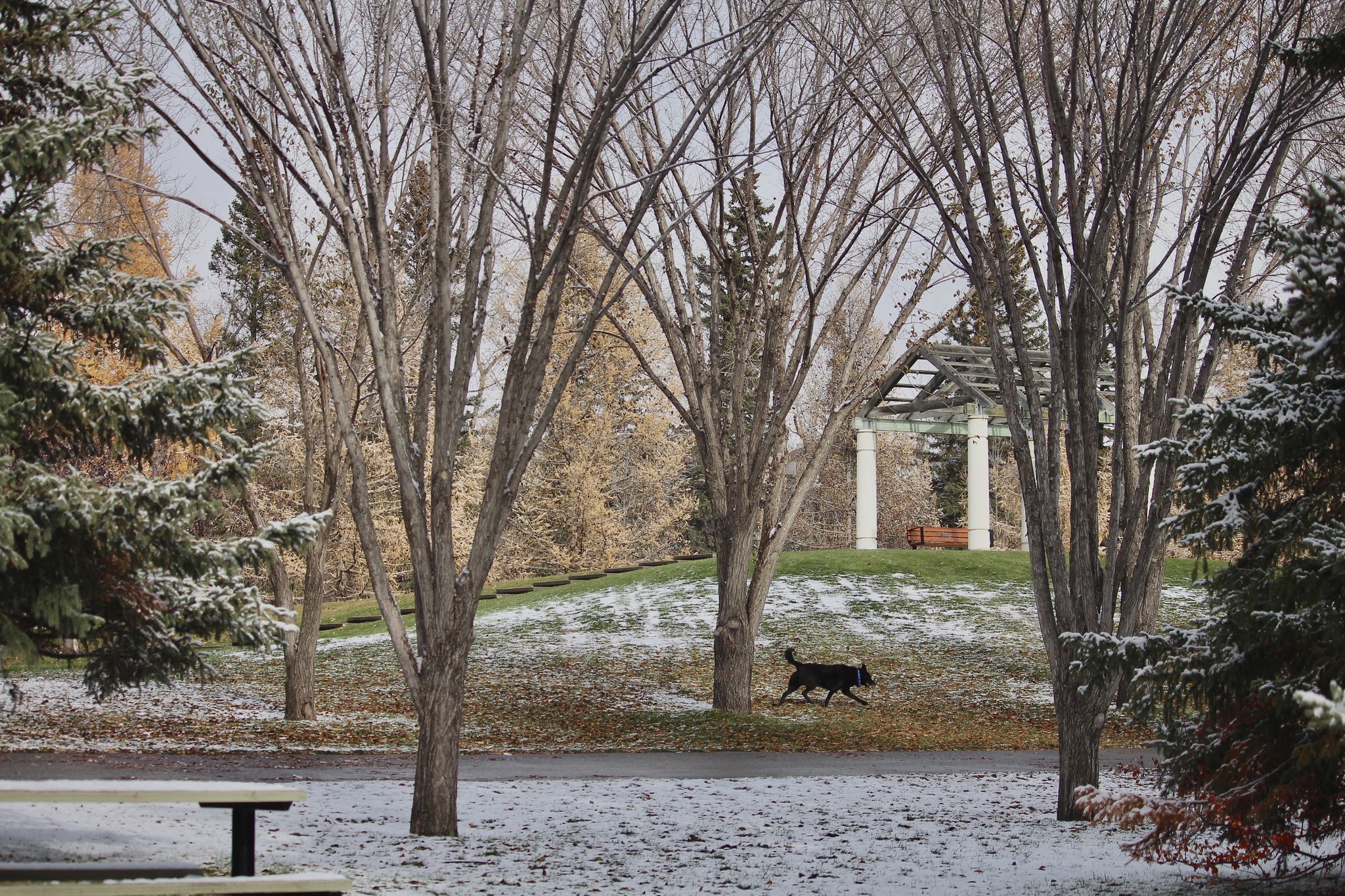 25 Nature Attractions & Parks to Explore in Calgary