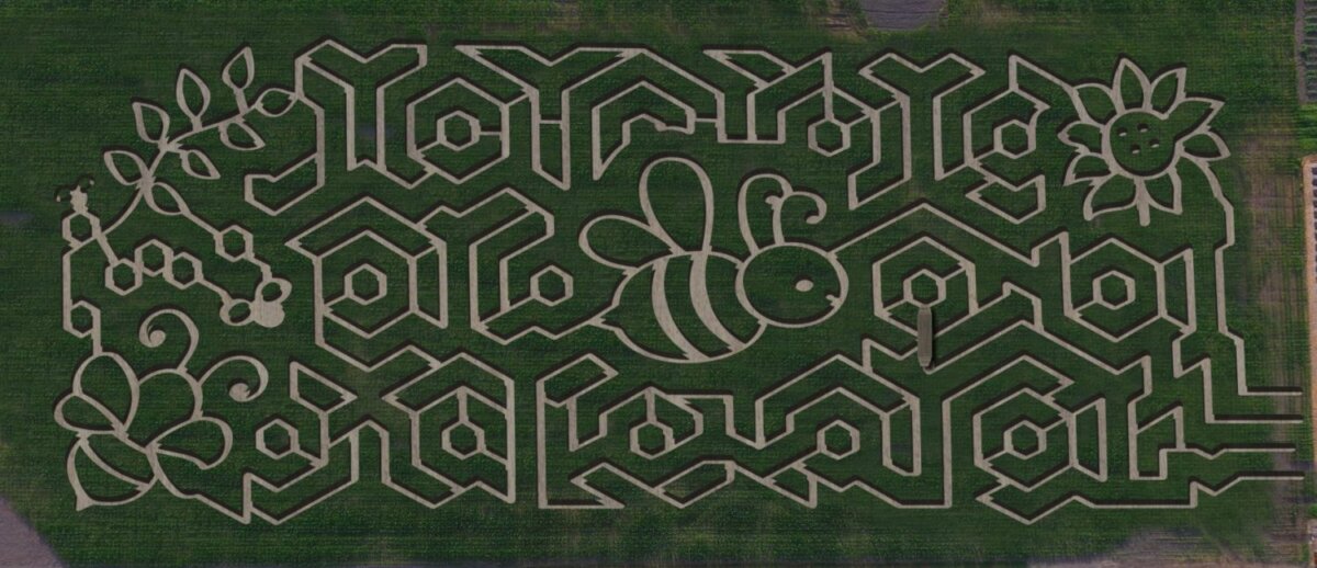 Greendale Acres (Chilliwack) Corn Maze