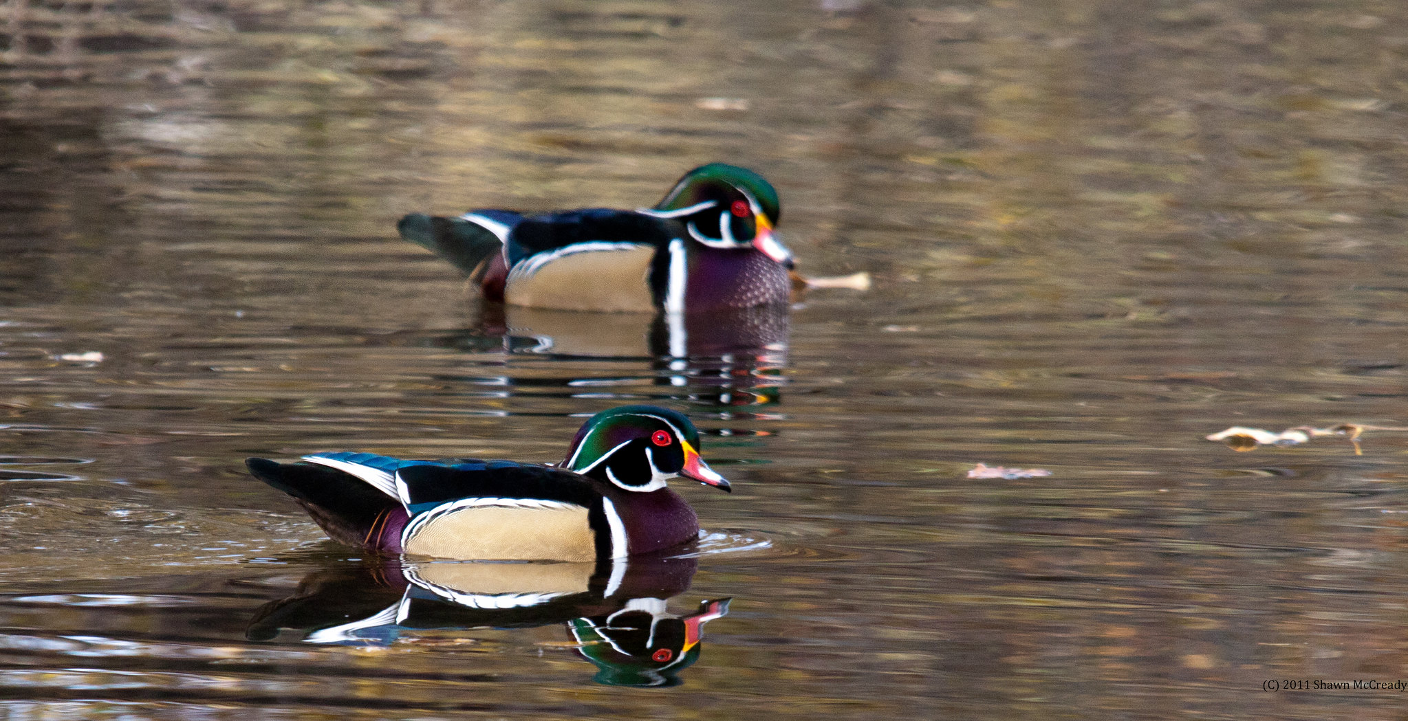 25 Nature Attractions & Parks to Explore in Calgary
