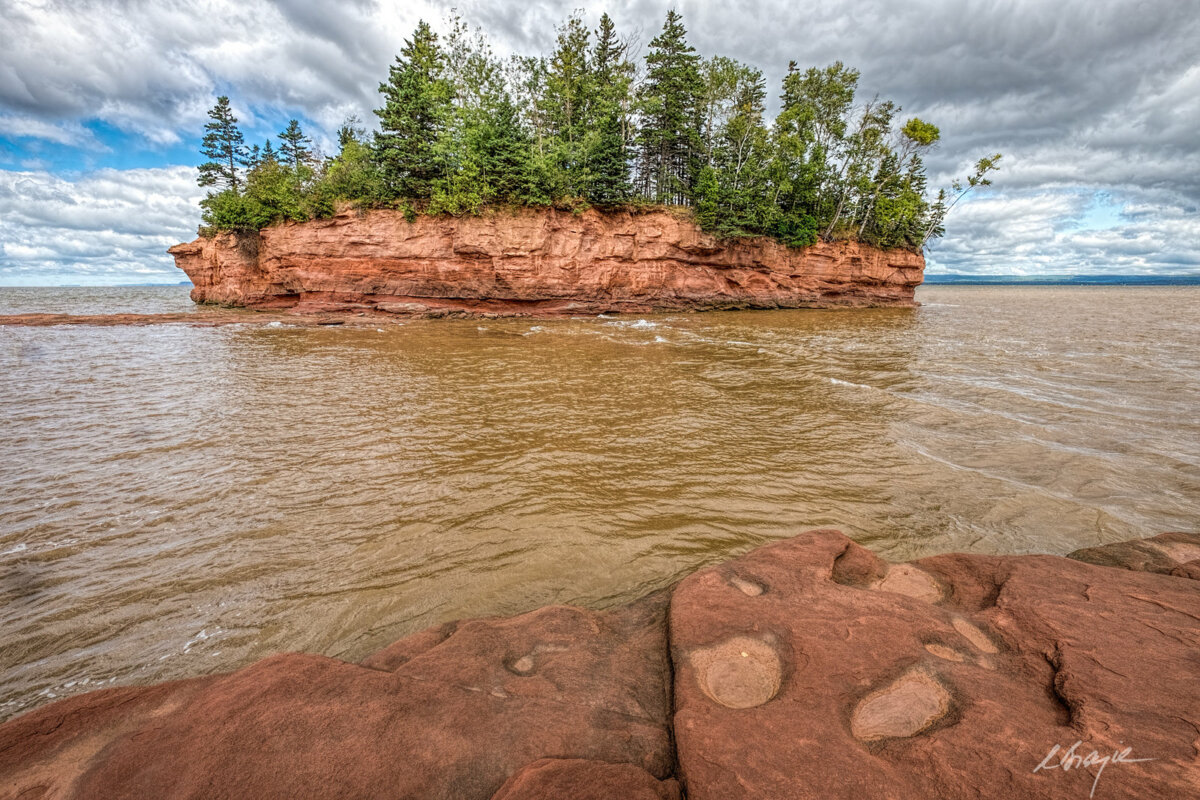 A Day at Burntcoat Head Park: Walk the Ocean Floor at the Place of ...