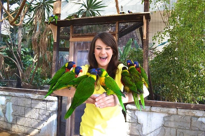 Bird Kingdom