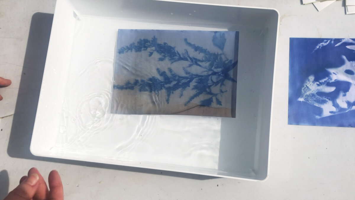 Sterling Road Block Party: Cyanotype Explorations with MOCA Toronto