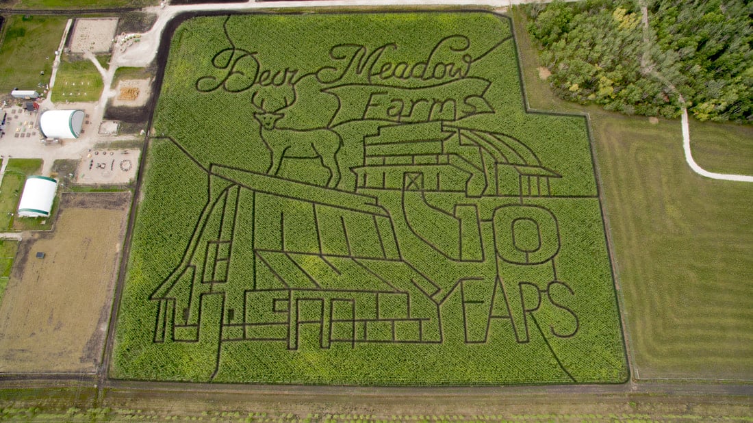 Corn Mazes and Pumpkin Patches in Manitoba | To Do Canada