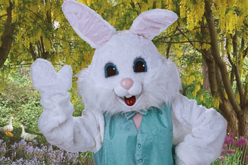 Free Photo with the Easter Bunny