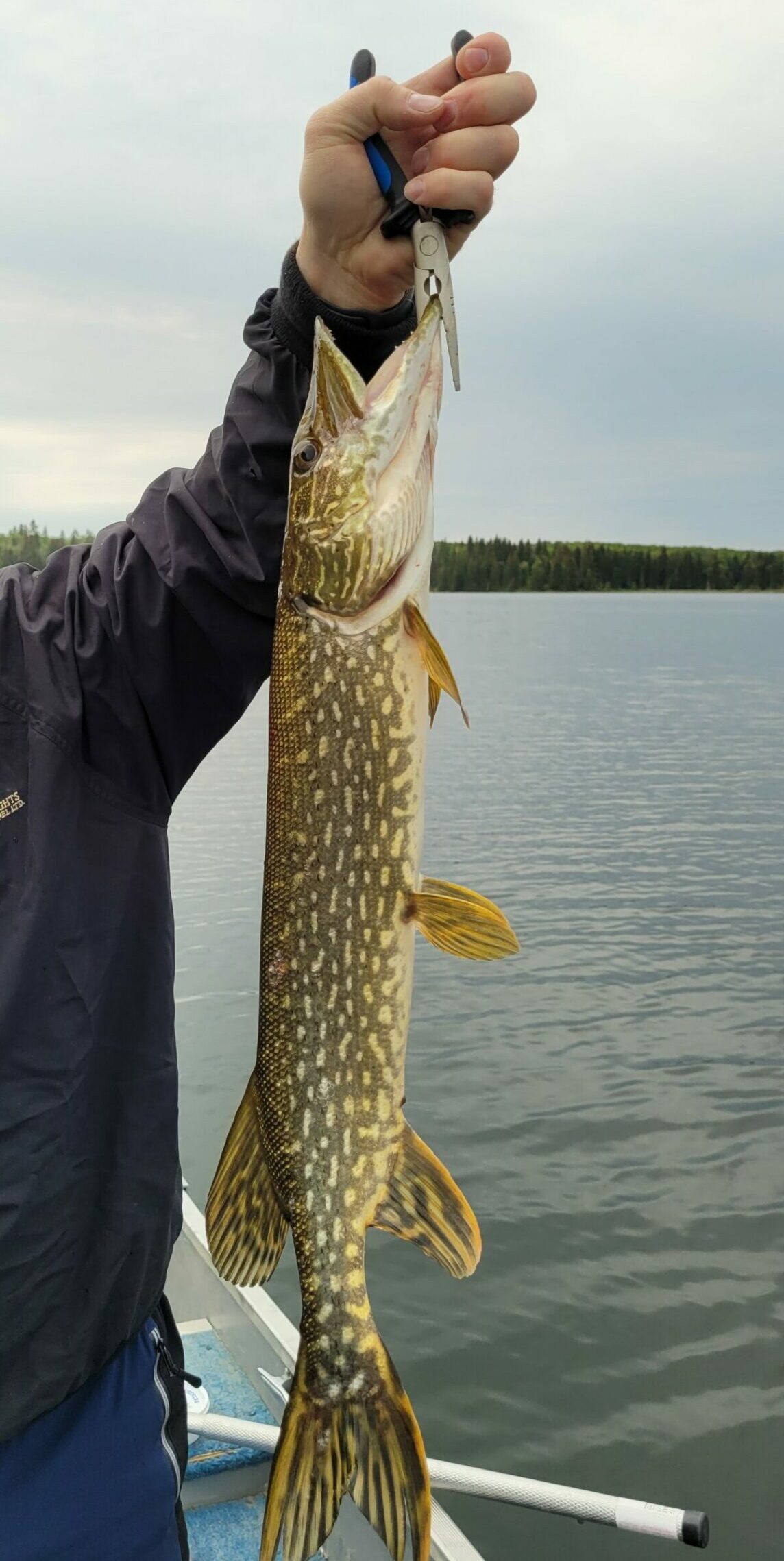 Off The Beaten Track Fishing Getaway in Saskatchewan (Late Summer/Fall)