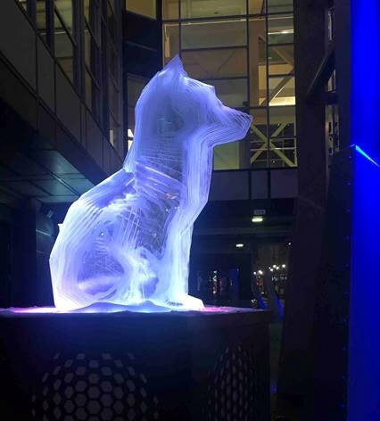 FrostFest: Calgary to Celebrate Winter With a New Free Festival Taking ...