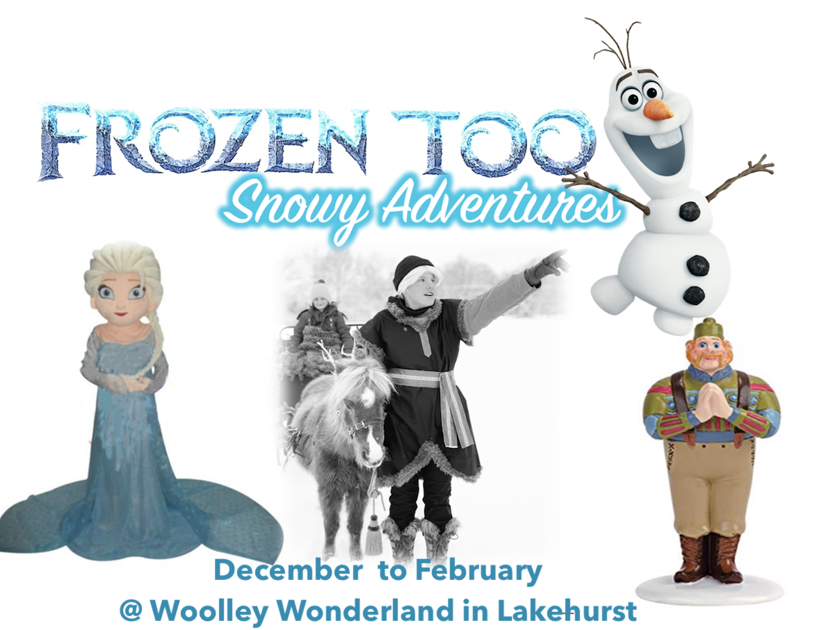 Frozen Too Snowy Adventures