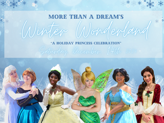 Winter Wonderland: A Holiday Princess Celebration