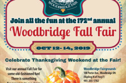 Things to Do in Vaughan | Places to Visit & Fun Activities to Do