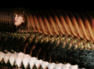 Feist: Multitudes