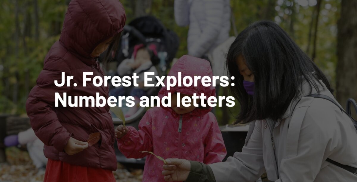Jr. Forest Explorers: Numbers and Letters