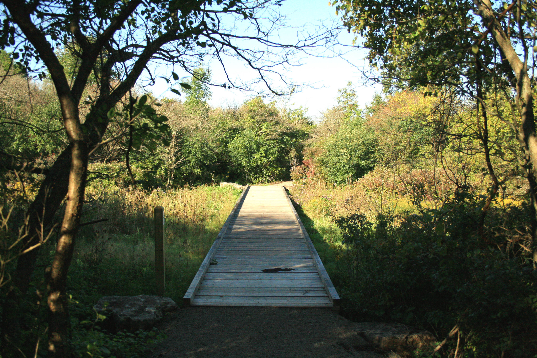 25 of the Best Hiking Trails in Hamilton