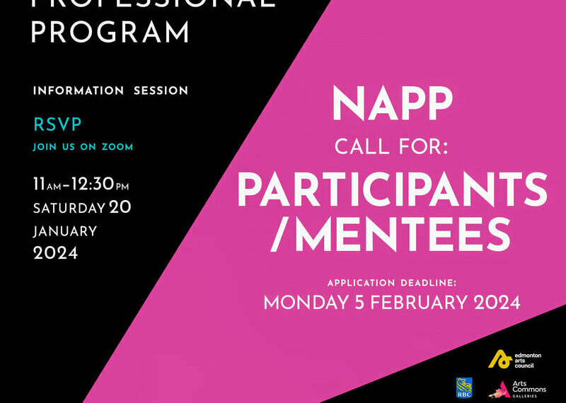 Newcomer Arts Professional Program: Call for Participants/Mentees