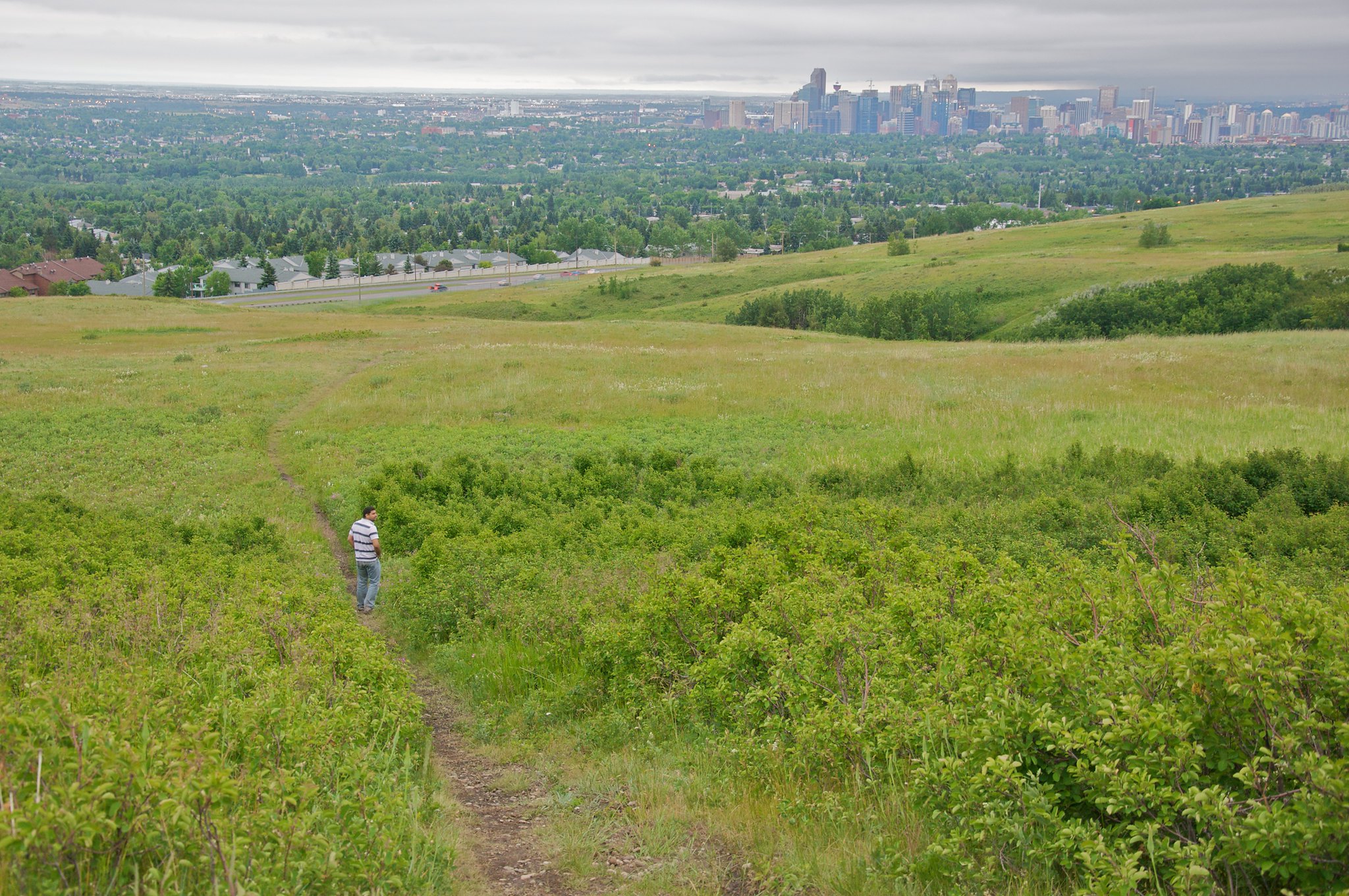 25 Nature Attractions & Parks to Explore in Calgary