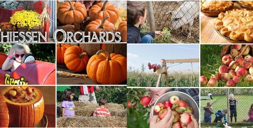 Fall & Halloween Fun at Thiessen Orchards