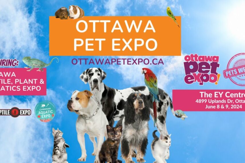 Ottawa Pet Expo