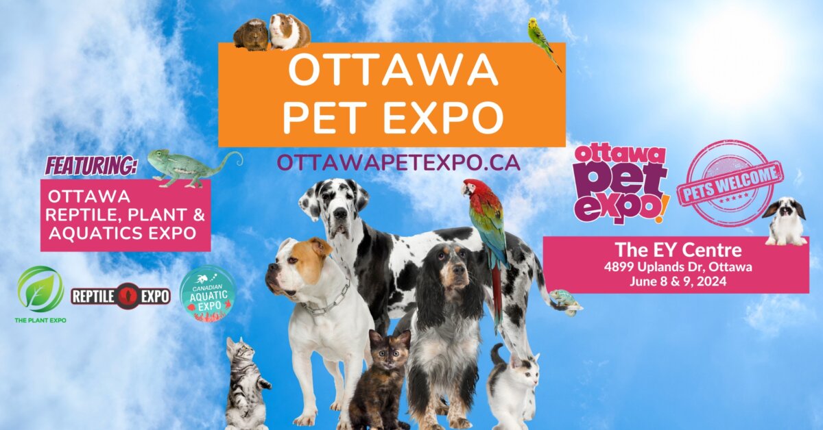 Ottawa Pet Expo