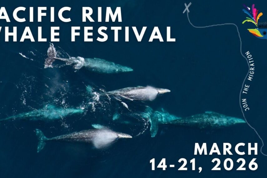 Pacific Rim Whale Festival