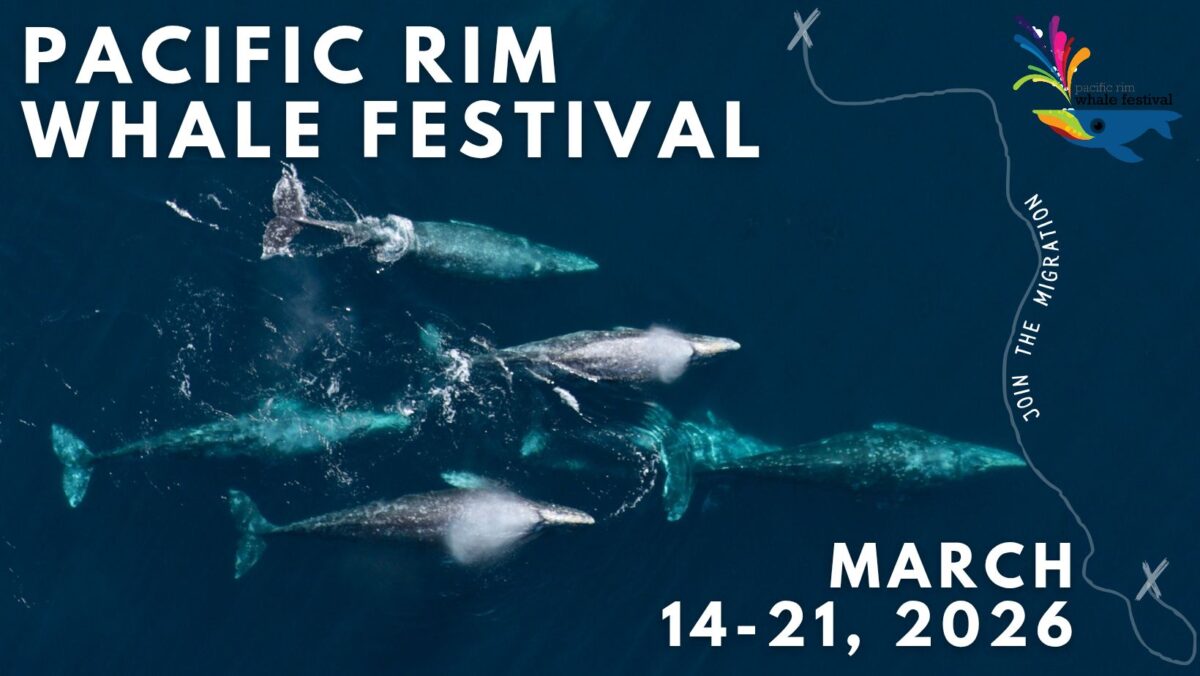 Pacific Rim Whale Festival