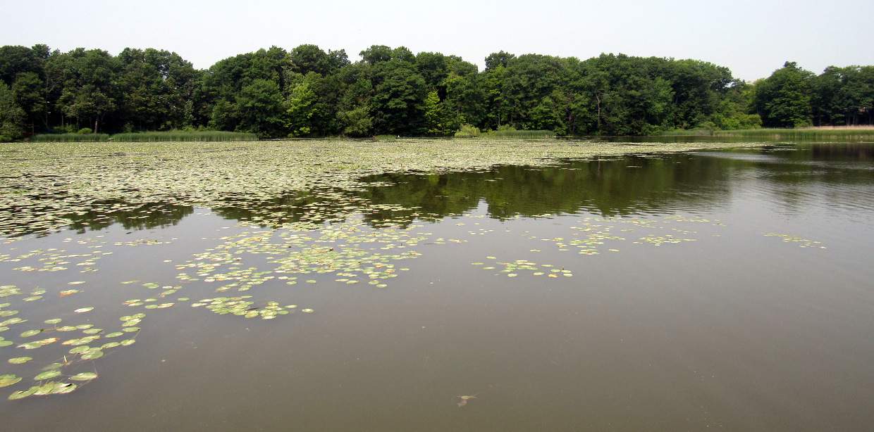Rouge Beach Park & Rouge Marsh