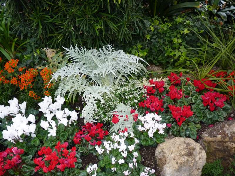 Regina Floral Conservatory