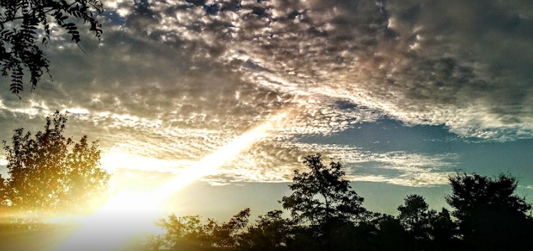 Solar Viewing: Learn about the Eclipse!