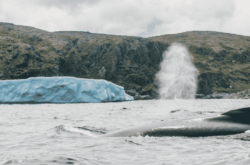 15 Places to Go Camping & Glamping in Newfoundland