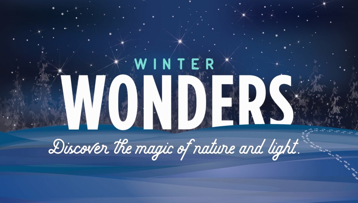 Winter Wonders